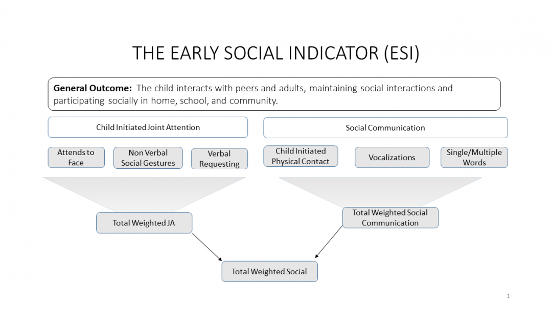Introduction to the ESI - IGDI