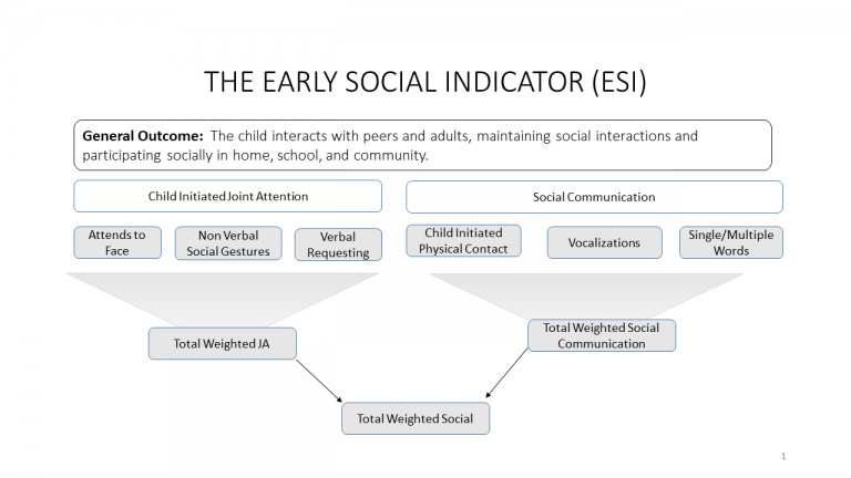 Introduction to the ESI - IGDI